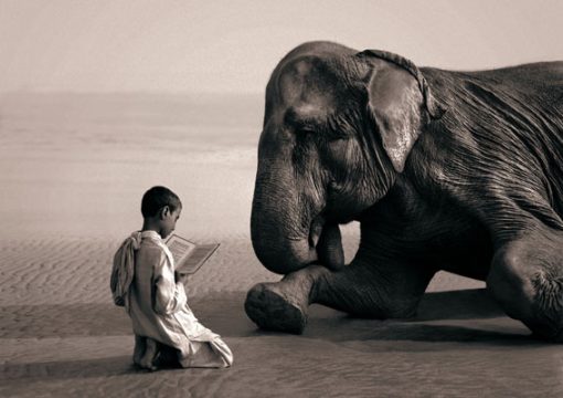 inspired by: gregory colbert - Tara Leaver